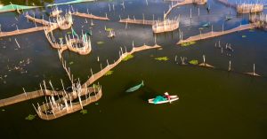 Gestion des ressources naturelles : vers un avenir durable