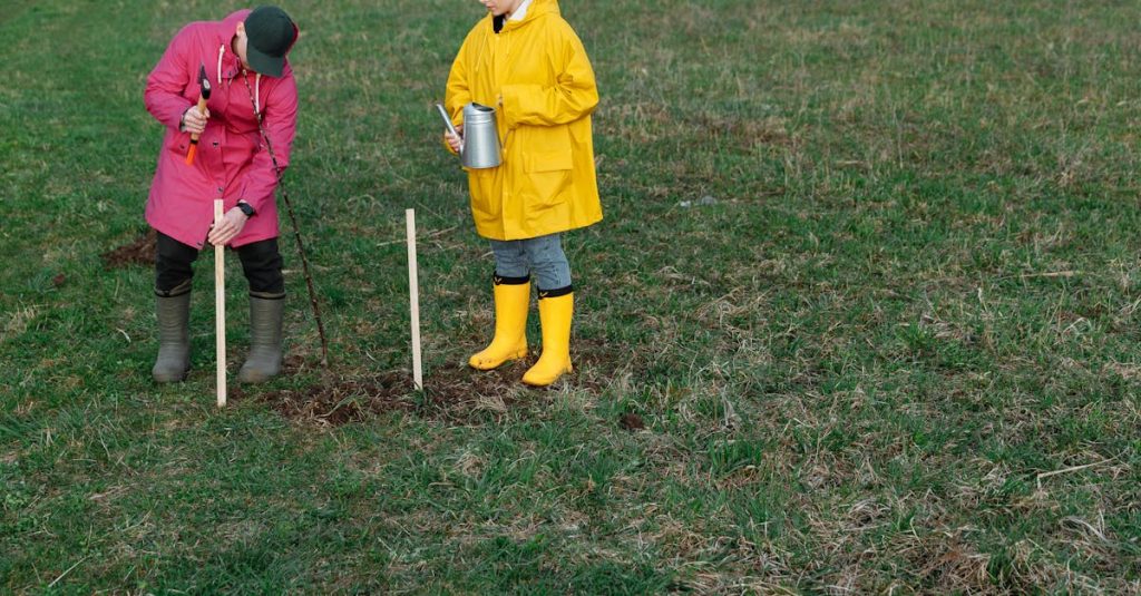 Reforestation : des solutions novatrices pour sauver nos forêts
